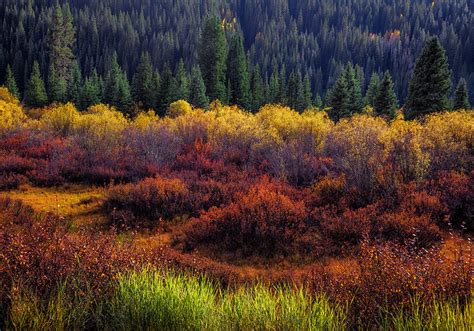 Trevor Anderson Flickr