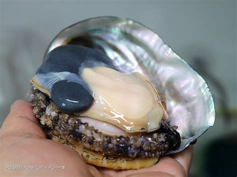 전복죽 끓이는법~ 전복내장 게우죽 전복요리