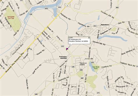 Ichps Corporate Website