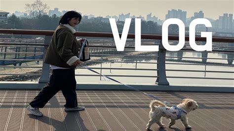 Vlog 음주가무의 죄책감으로 시작된 키토제닉 브이로그 Youtube