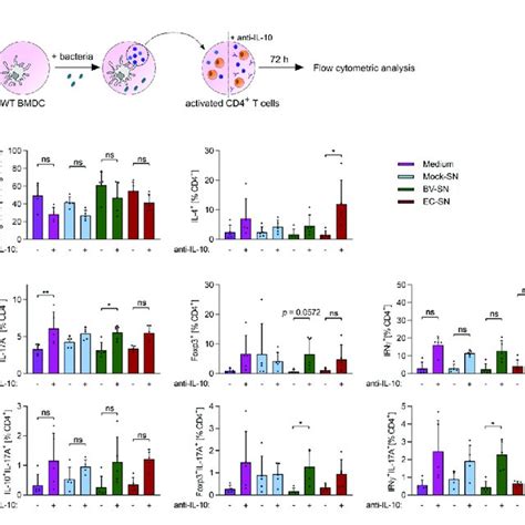 In Vitro Cd4 T Cell Polarization In Response To The Supernatant Of Download Scientific
