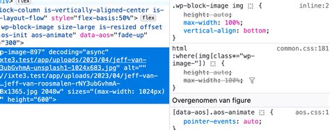 Default Image Css Overwriting Image Sizing · Issue 48762 · Wordpress
