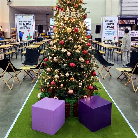 감성 트리 선물상자 대형 Set Pallet Stage 옐로우킹콩 행사 전문 친환경 렌탈 기업