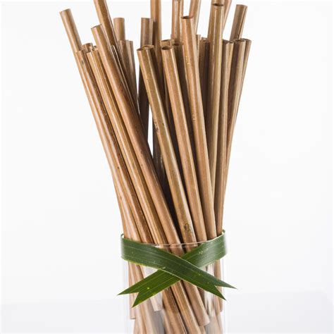 Sunbird Straws Sunbird Straws