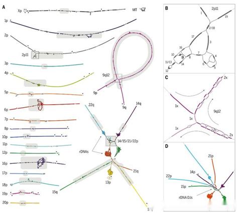 Nature Method 2022年最值得关注——长读段测序（long Read Sequencing） 知乎