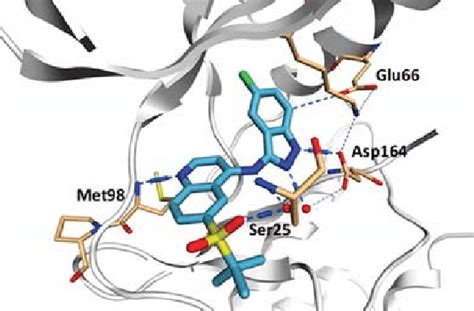 X Ray Co Crystal Structure Of Rip2 Kinase Inhibitor Gsk583 Download Scientific Diagram