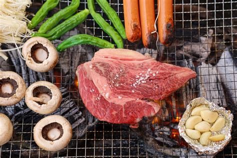 캠핑 소고기 맛있게 굽는법 등심 스테이크 굽기 숯불 심부온도계