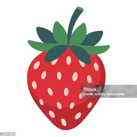 딸기는 흰색 배경에 고립되어 있습니다 손으로 그린 그림 딸기에 대한 스톡 벡터 아트 및 기타 이미지 딸기 아이콘 벡터