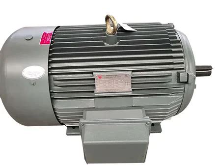 Three Phase Asynchronous AC Motor SEMC