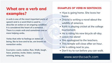 20 Examples Of Verb In Sentences Word Coach