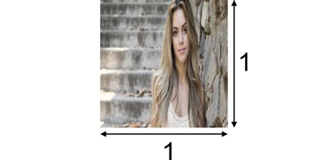 Resize Difference Between Cropping Scaling Resizing Changing Aspect Ration Of An Image
