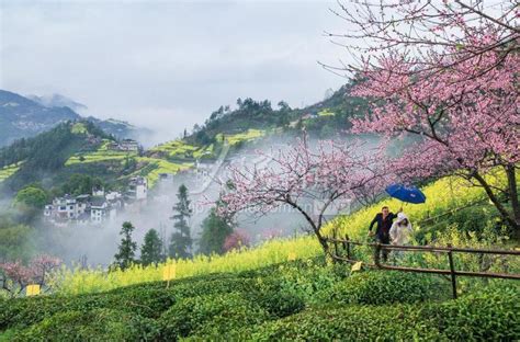 安徽歙县：美丽乡村入画来 人民图片网