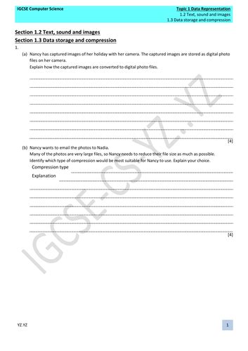 [0478] igcse computer science data representation worksheet teaching