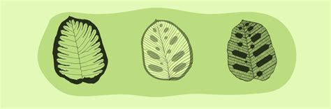 Form Generation Behance