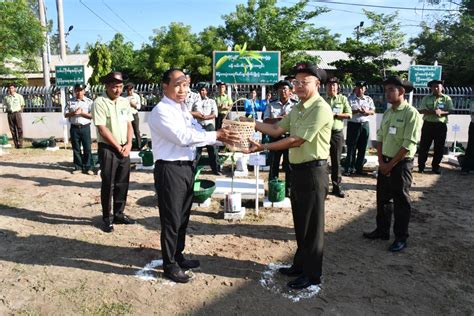 စစ်ကိုင်းတိုင်းဒေသကြီးအစိုးရအဖွဲ့ရုံး ဝန်ထမ်းအိမ်ရာဝန်းအတွင်း စိန်တလုံးသရက်ပင်များ စိုက်ပျိုးပ