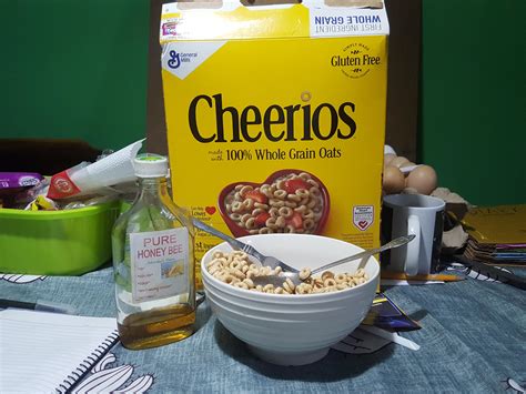 How To Make Plain Cheerios Taste Better Basecampdiy