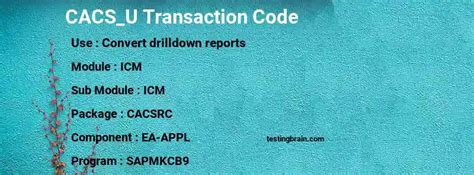 CACS U SAP Tcode For Convert Drilldown Reports