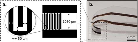 Flexible Electrodes Design A Scheme Of The Interdigitated Electrodes