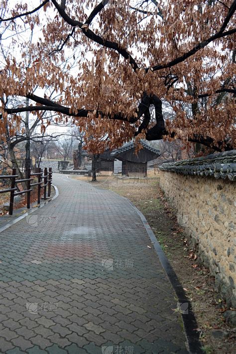 斑点 风景 传统 建筑外部 古老的 垂直画幅 图像 无人 韩国 街道