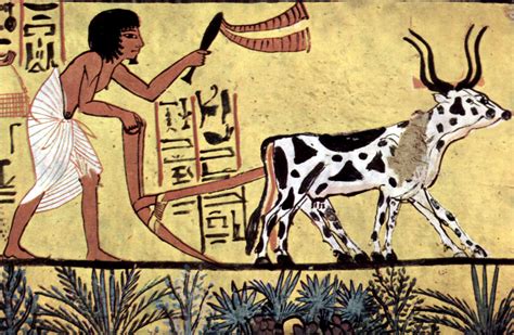 Neolithic Age Technology Overview And Importance Lesson