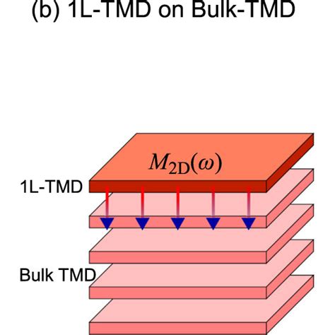 Schematic Of The Interfacial Configurations Used To Determine A The Download Scientific
