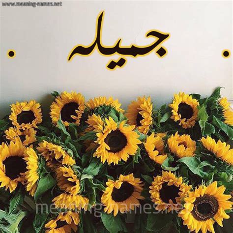 صور اسم جميلة مزخرف انجليزى معنى صفات دلع صور مكتوب فيها اسم جميلة