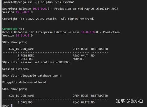 张小白教你使用ogg实现oracle 19c到mysql 5 7的数据同步 墨天轮