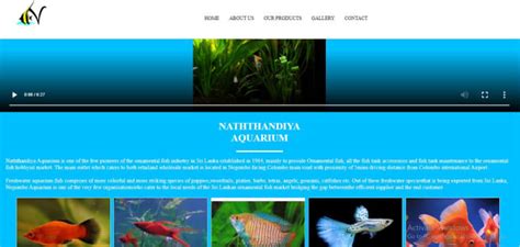 Do Your Web Assignment Projects Using Htmlcssbootstrapjsphp By
