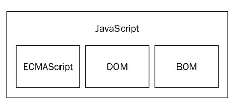 Ecmascript 变量、数据类型 爱编程的大丙
