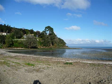 Discovering Nz Titirangi Beach Auckland Nz