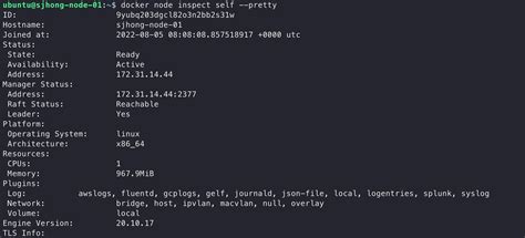 Docker Swarm의 주요 용어 활성화 방법 및 노드node 관리법 살펴보기