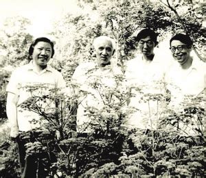 单人骅图册 360百科