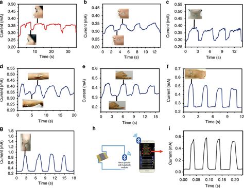The Mxene Based Sensor Was Used To Explore The Full Range Human Download Scientific Diagram