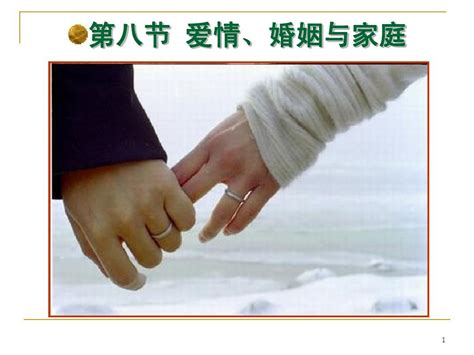 08节 爱情、婚姻与家庭word文档在线阅读与下载无忧文档