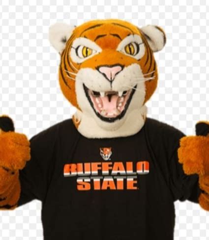 Meet Our Advising Team Academic Advising Suny Buffalo State University