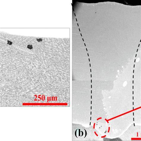 Sem Images Showing Porosity Of Both A Etched B Unetched Polished Download Scientific