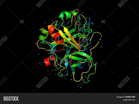 What Is The 3d Structure Of A Protein At Justin Poole Blog