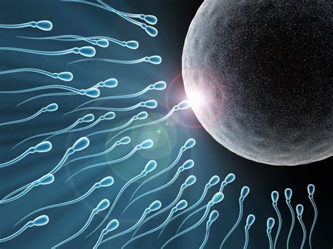 FormaciÓn Profesional BÁsica ReproducciÓn Humana