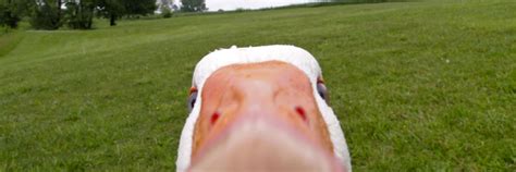 Artstation Christian Emmanuel Collo