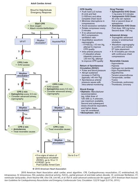 Adult Cardiac Arrest Algorithm Manual Of Medicine