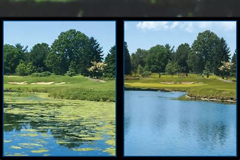 How Ultrasonic Algae Control Works The Science Behind Clearer Ponds