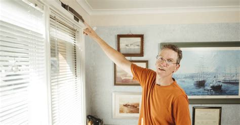 Pest Plague European Wasps Wreak Havoc In Canberra Homes The Canberra Times Canberra Act