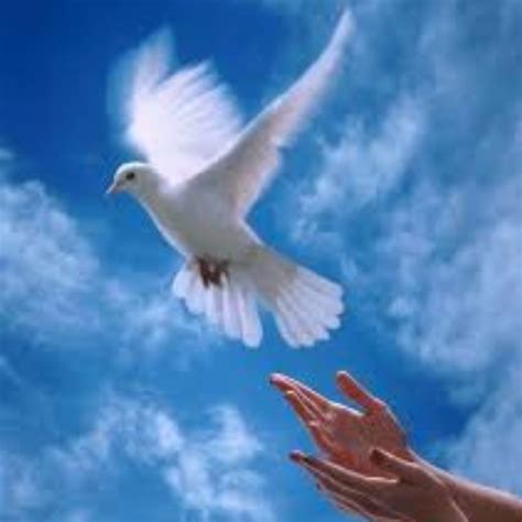 في بيتنا مراهق