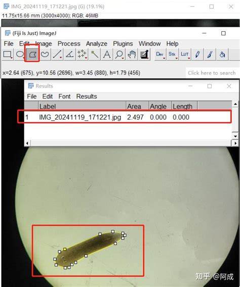 通过ps Imagej 软件计算图片中不规则面积的方法 知乎