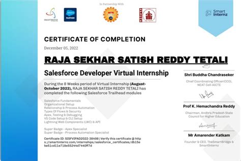 Raja Sekhar Satish Reddy Tetali On Linkedin Salesforce Internship