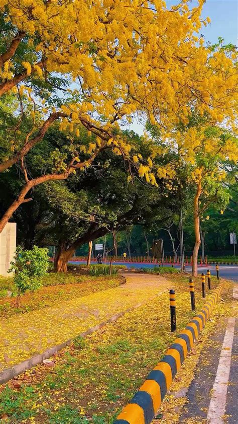 Beautiful Destinationsさんのインスタグラム動画 Beautiful Destinationsinstagram 「 Withlavish Captures The