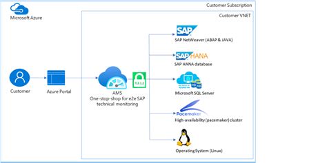 Secure Communication To Fetch Sap Netweaver Sap Control And Sap Rfc Metric Data In Ams
