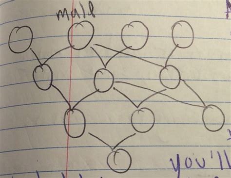 Evolution Lecture 7 Flashcards Quizlet