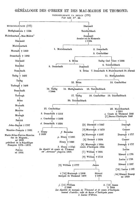 Pin By Stefan Smith On Lhistoire Genealogy Chart Genealogy Royal