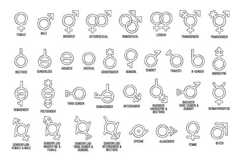 Colecciones De Símbolos De Género Signos De Orientación Sexual Vector